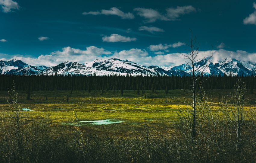 12 Free Abstract Videos To Use For Backgrounds (Or Anything Else)